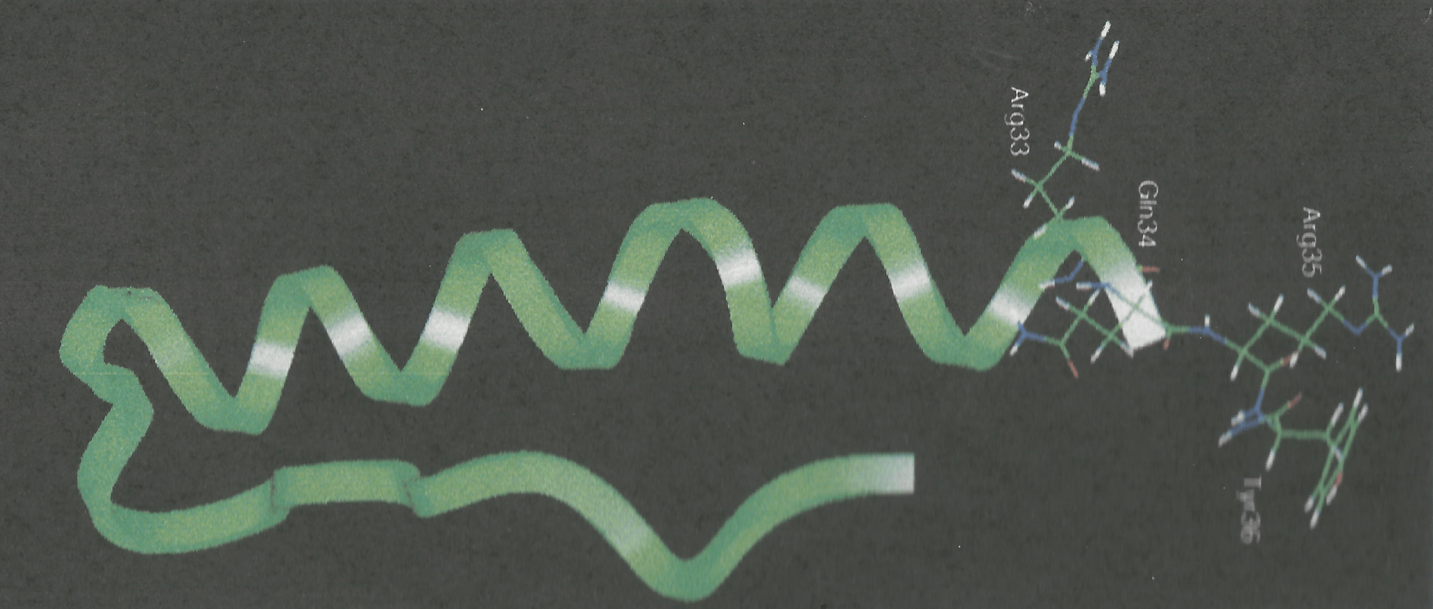 Structure-activity relationships of neuropeptide Y (NPY) – Prof ...